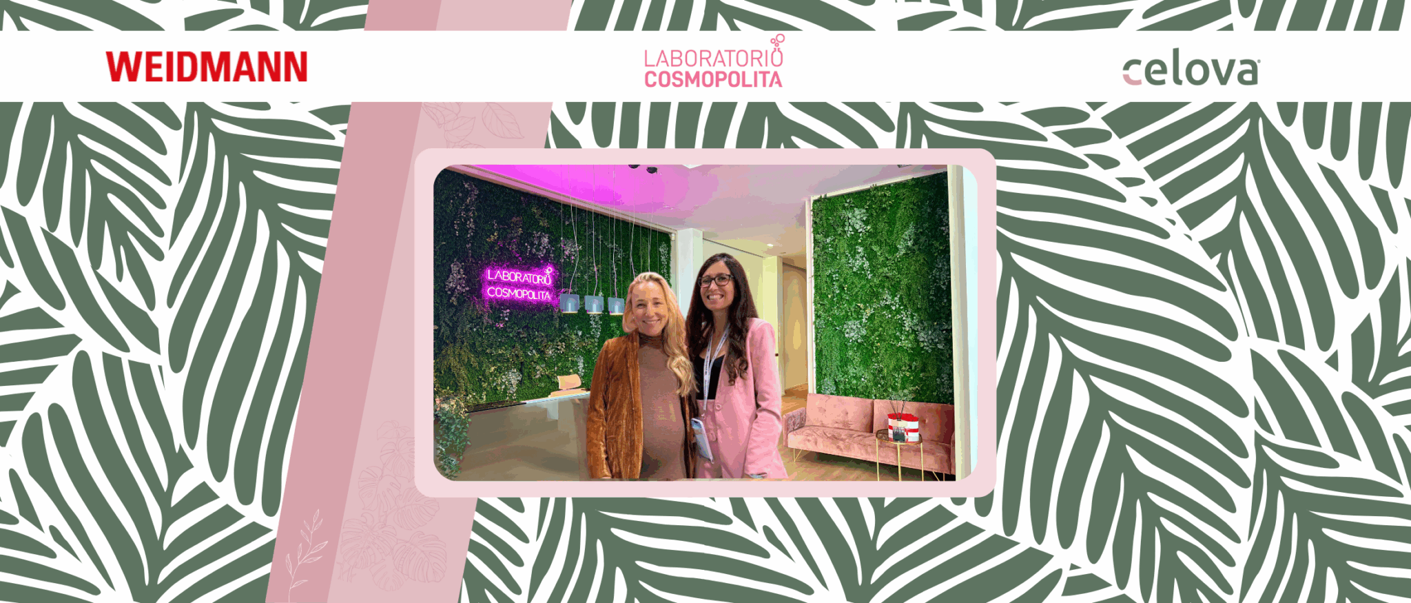 Unlocking the Power of Cellulose: A Collaboration Between Weidmann ...